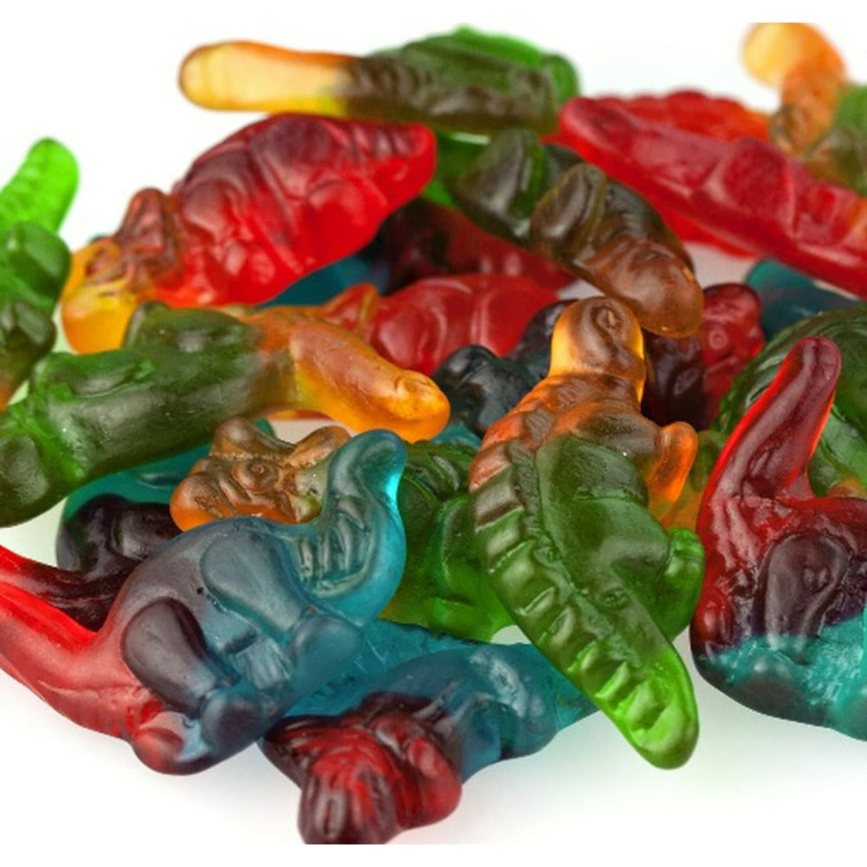Bulk Candy I Got Your Candy
