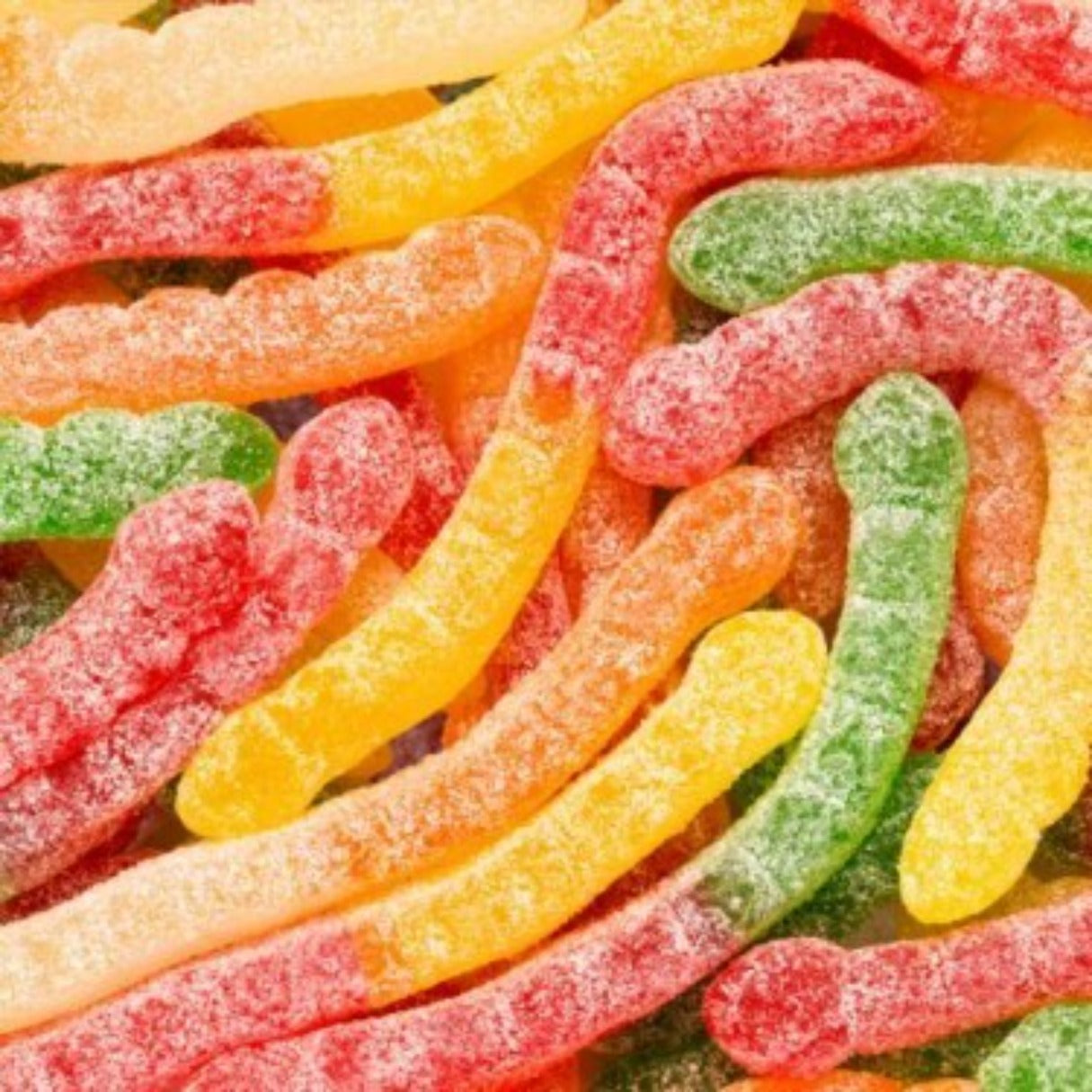 Kervan Sour Gummy Worms Large Bulk Bag 5lb - 1ct – I Got Your Candy