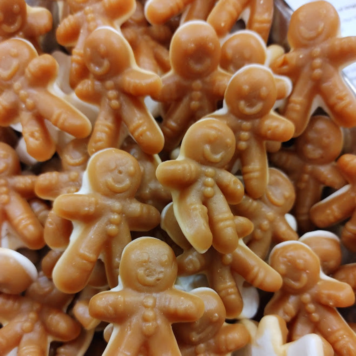 Vidal Gummi Gingerbread Men Bulk Bag 4.4lbs - 1ct – I Got Your Candy